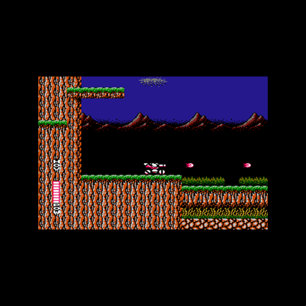 Blaster Master - Nintendo NES
